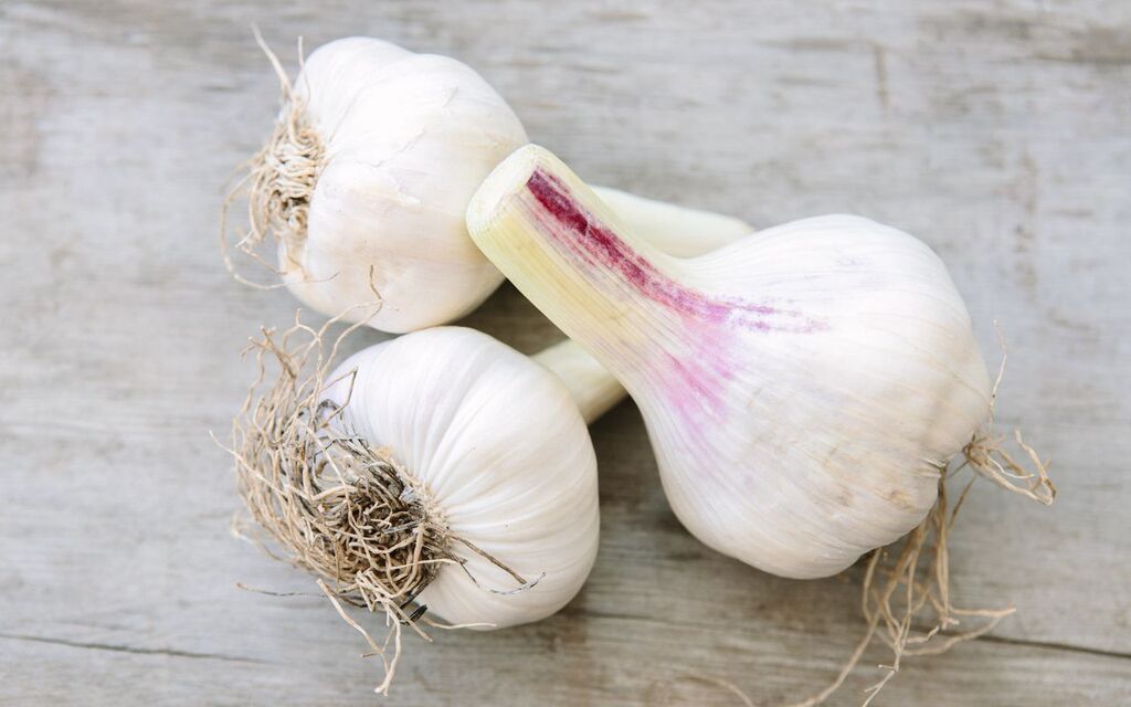 Fresh California White Garlic | 1 head | Oak Hill Farm of Sonoma | Good ...