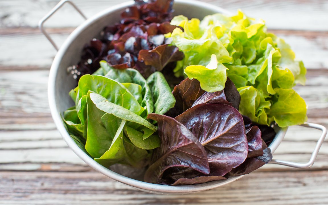 Organic Salanova Lettuce Trio | 3 count | From Our Farmers | Good Eggs