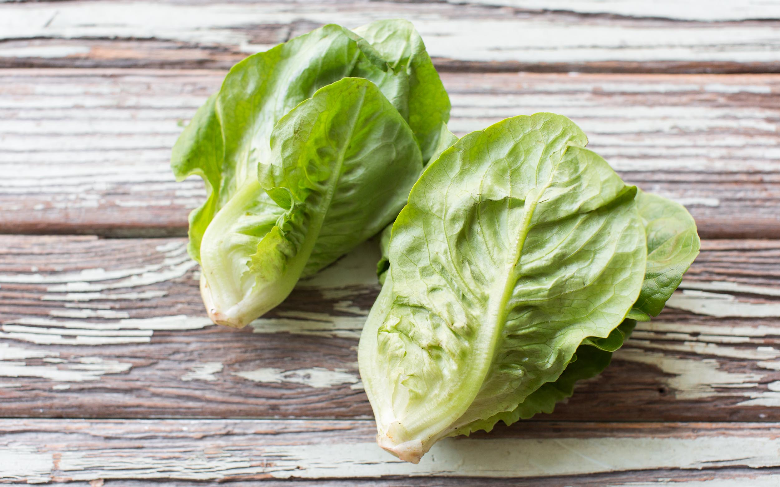 Organic Little Gem Lettuce | 1 lb | Coke Farms | Good Eggs