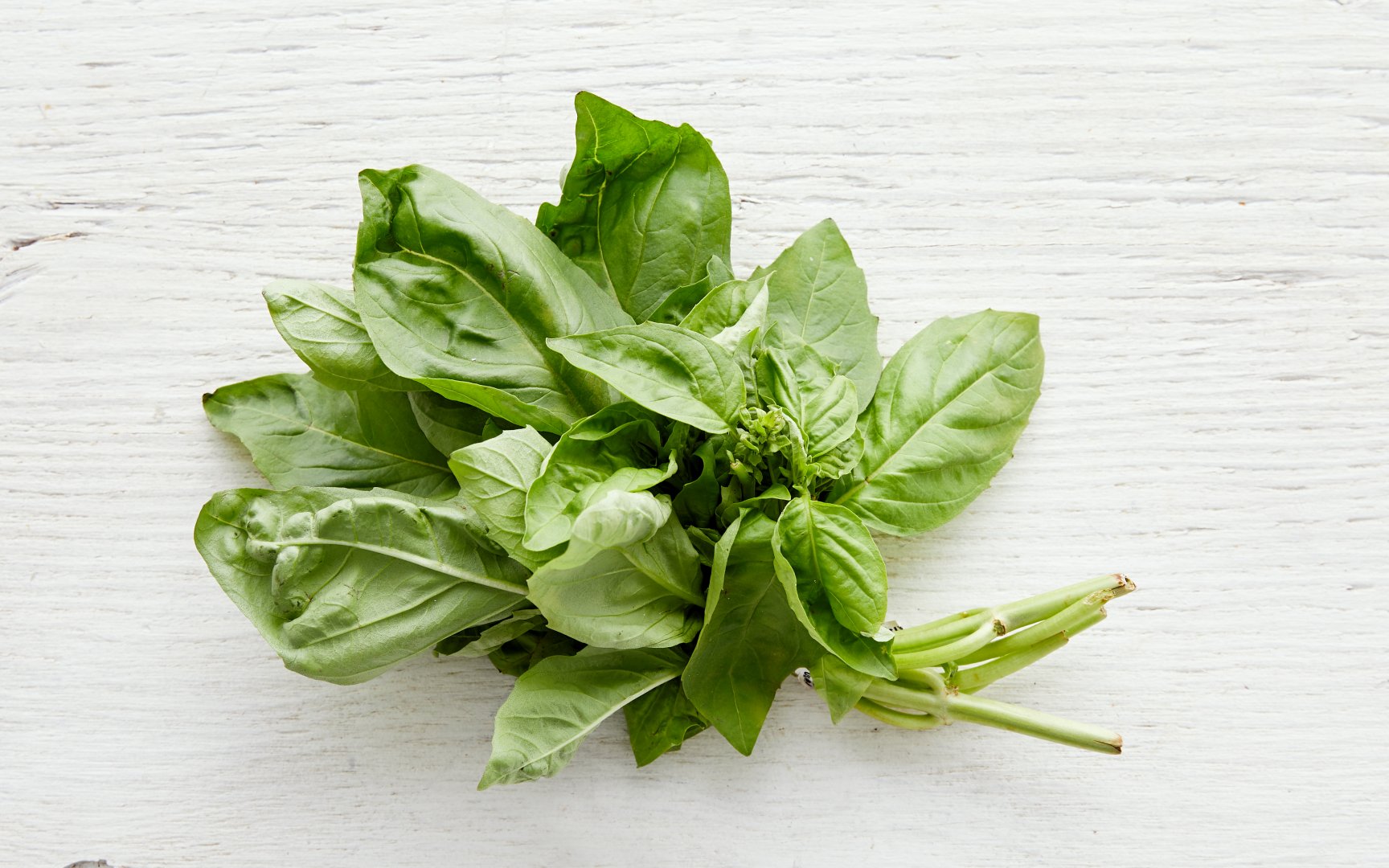 Organic Basil (Mexico) | 1 bunch | From Our Farmers | Good Eggs