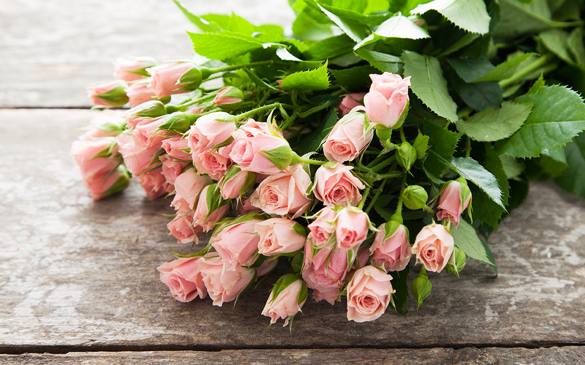 Blush Pink Spray Roses | 1 bunch | From Our Farmers | Good Eggs
